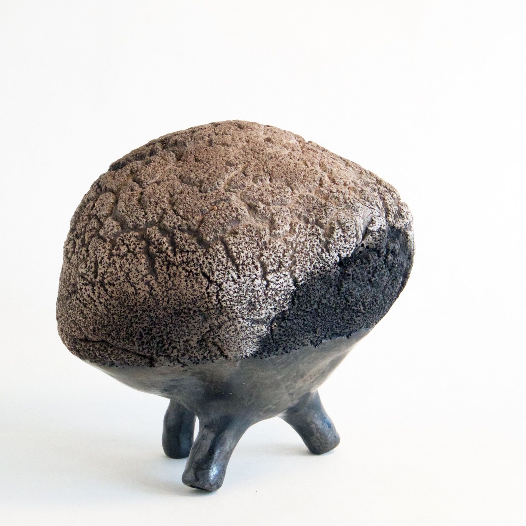 Pitteloud Anne-Chantal